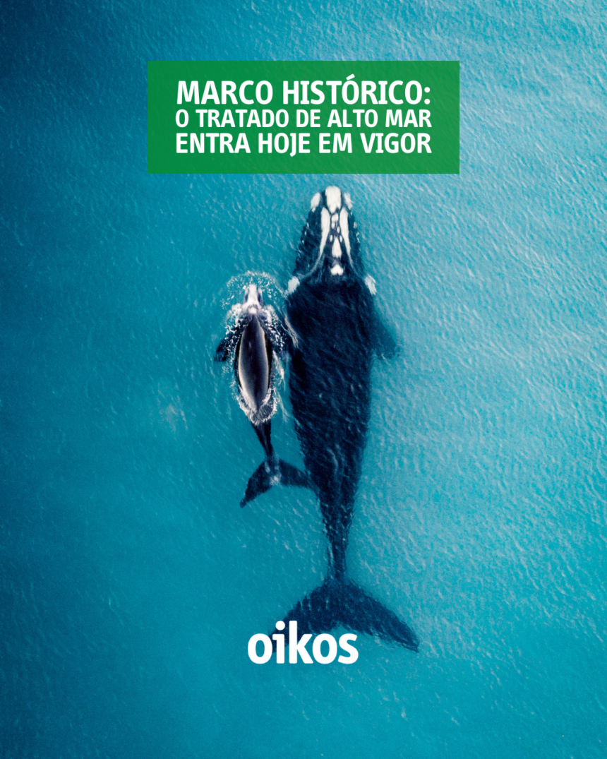 Marco histórico: o Tratado de Alto Mar entra em vigor no dia 17 de ...